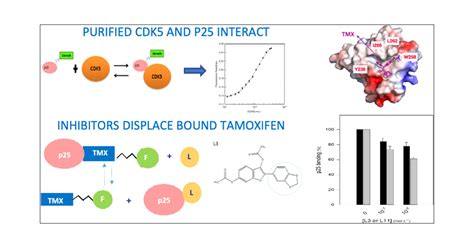Identification Of Novel Compounds Inhibiting The Kinase Activity Of The Cdk5 P25 Complex Via
