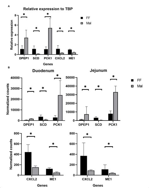 Alidation Of Rnaseq Data A Qpcr Results Of Relative Expression