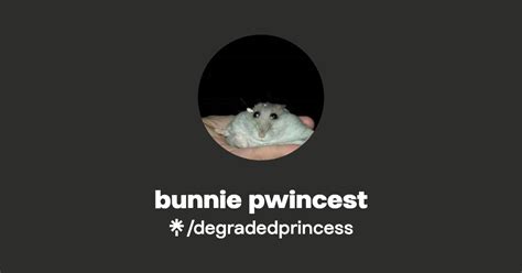Bunnie Pwincest Linktree