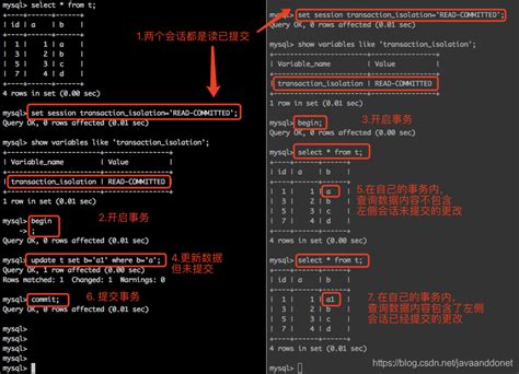 Mysql事务并发问题和解决方案 迷走神经 博客园