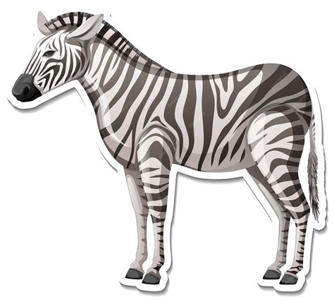 Zebra Clipart Outline