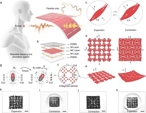 Speaking Without Vocal Folds Using A Machine Learning Assisted Wearable