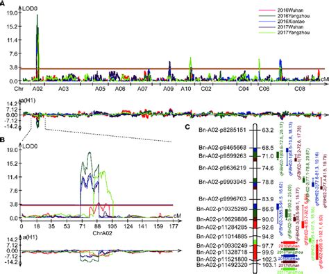Quantitative Trait Loci Qtl Identification For Fbh In Five Download Scientific Diagram