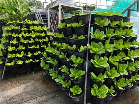 พิพิธภัณฑ์การเกษตรฯ เชิญร่วมงานตลาดเศรษฐกิจพอเพียง “เกษตรปันสุข” ส่งต่อความสุขบนวิถีเกษตรไทย 3 4