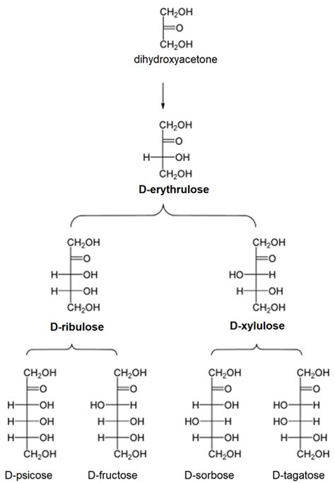 5 2 general class names and common names of monosaccharides