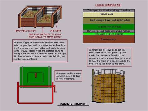 Composting Basics