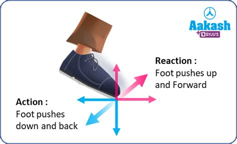 Newtons Third Law Of Motion Definition Applications And Examples