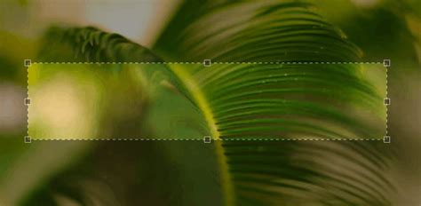 jcrop 基于 jquery 的在线图片裁切插件 资源分享 文江博客