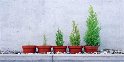 The Spring Framework Beginners Guide Features Architecture And Getting Started Bmc Software