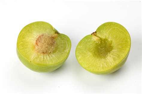 작은 미니 그린 신선한 육즙이 많은 매실 과일 흰색 배경 컷 슬라이스 반 씨앗 녹색에 대한 스톡 사진 및 기타 이미지 녹색 자두 흰색 배경 Istock