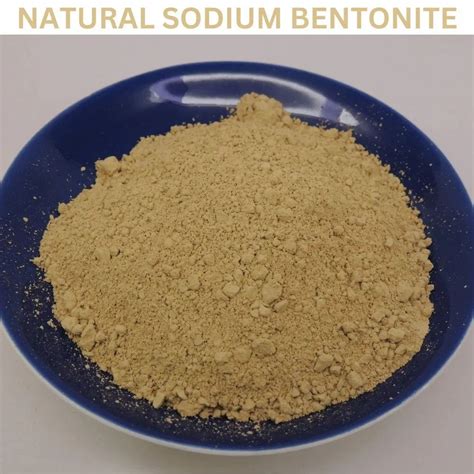 Api Grade Bentonite Powder At ₹ 23 Kg Api Bentonite Powder In Jodhpur Id 2853254852897