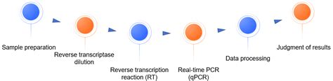 Gene Therapy Formulation Reverse Transcriptase Activity Assay Cd Formulation