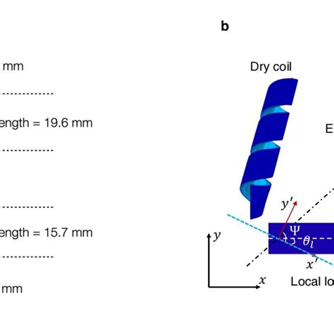 Figure S4 Development Of The Simulation Model For The Engineered Seed