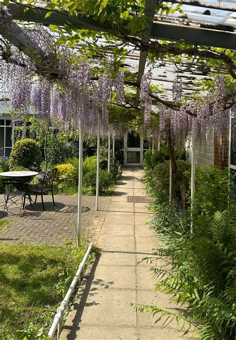 Zara Wright On Linkedin We Are So Lucky To Have Such A Beautiful