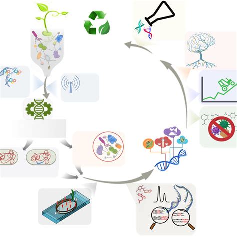 Pdf Microbiome Engineering Synthetic Biology Of Plant Associated Microbiomes In Sustainable
