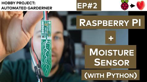 Raspberry Pi Moisture Sensor With Python Wiring Code Step By Step Walk Through Youtube