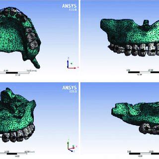 The Diagram Shows The Model Using ANSYS Software Download Scientific