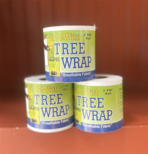 Fall Tree Protection Trees Today Nursery