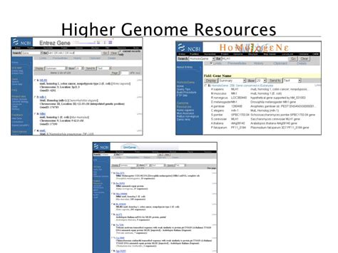 Ppt Bioinformatics For Genomic And Proteomic Data Analysis Powerpoint Presentation Id 5968020