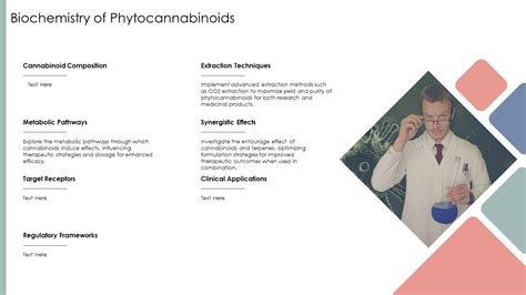 Biochemistry Of Phytocannabinoids Ppt Slides ST AI SS PPT Example