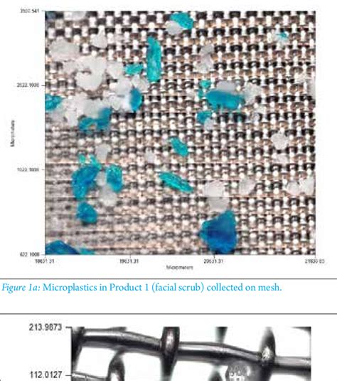 Figure 1 From Detection And Identification Of Microplastic Particles In