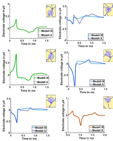 Electrode Voltages Derived At Different Recording Sites On The Neuron Download Scientific