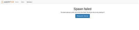 Hub Shows Spawn Failed Message After Jupyter Servers Are Culled