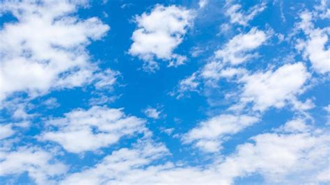 Hallie Mcconlogue On Linkedin Worlds Fastest Growing Major Cloud Vendors 1 Oracle 2 Sap