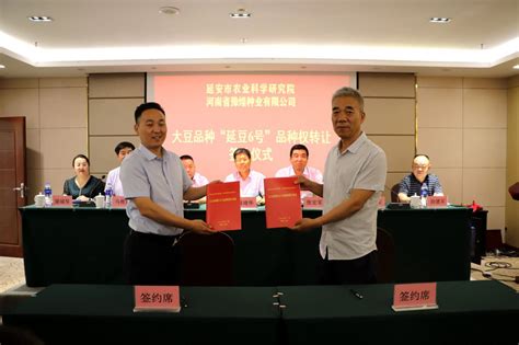延豆6号品种权转让签约仪式在延安举办 中国农科新闻网