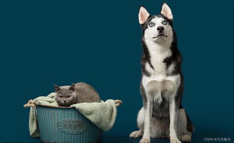 深入了解java 8日期时间新玩法：datetimeformatter与zoneoffset的使用zoneoffsetutc Csdn博客