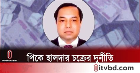 দুর্নীতি মামলার আসামি পিকে হালদার চক্রের সম্পদ জব্দ করছে দুদক