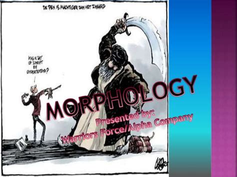 Morphology 150301031003 Conversion Gate01 Pptx Geology Science