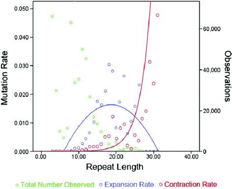 Relationship Between Total Number Of Repeats And Mutation Direction And