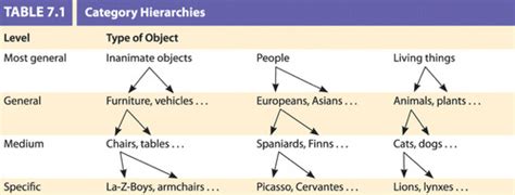 Chapter Development Conceptual Development Karteikarten Quizlet