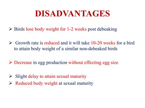 Debeaking In Chickenlive Stock Production Managementpptx