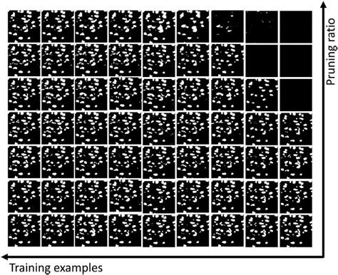 Qualitative Illustration Of The Predictions Of Different Network