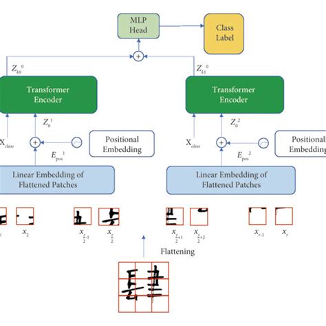 the overall architecture of the two way parallel vision transformer