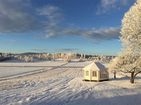 무료 이미지 경치 산 눈 감기 구름 하늘 화이트 햇빛 아침 서리 얼음 풍경화 공원 날씨 푸른 시즌 겨울 풍경 장면 12 월 동결 농촌