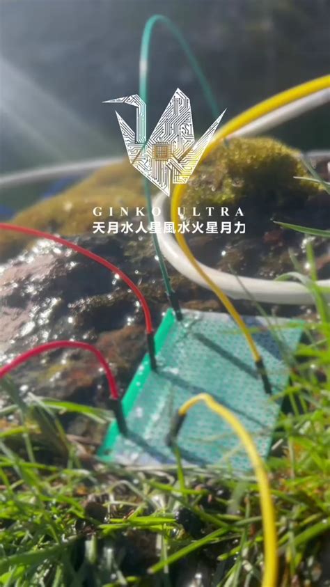 Hypercube Ritual Field Performance Rsynthesizers