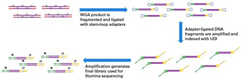 新品上市｜takara一站式pgt A研究解决方案 知乎