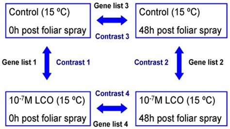 The Four Gene Lists Of Interest In The Microarray Experiment Generated