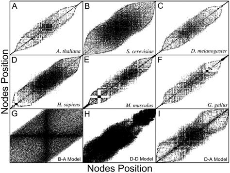 ordered association matrices this figure presents the association