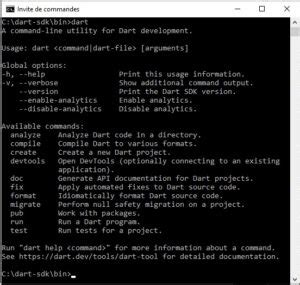 Installer Dart SDK Sur Windows Apcpedagogie