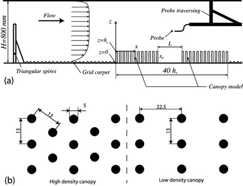 Schematic Representation Of A The Canopy Model And B Of The Pin Download Scientific Diagram