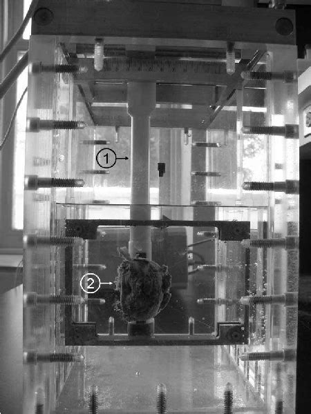 Figure 1 From Detection Of Prostate Cancer From Rf Ultrasound Echo Signals Using Fractal