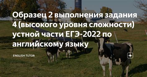 Образец 2 выполнения задания 4 высокого уровня сложности устной части ЕГЭ 2022 по английскому