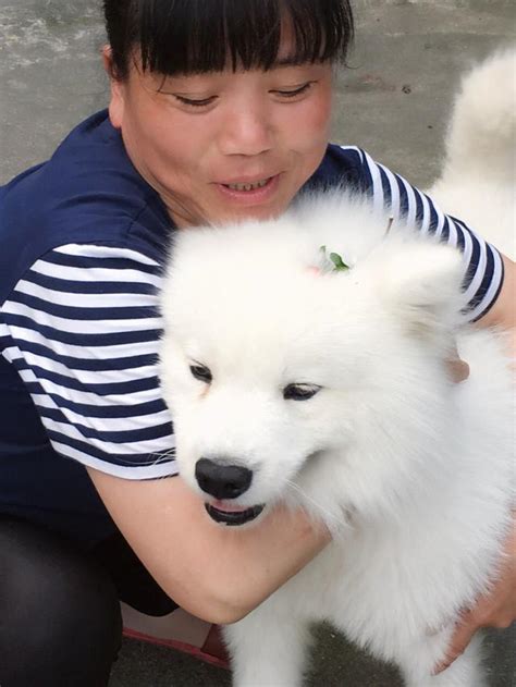 你是只男汪這麼粘人這樣撒嬌真的好麼瞅你那傻樣 每日頭條