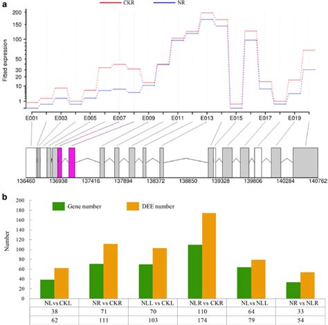The Differential Exon Usage Deu Analyses By Rna Seq In Pear A The