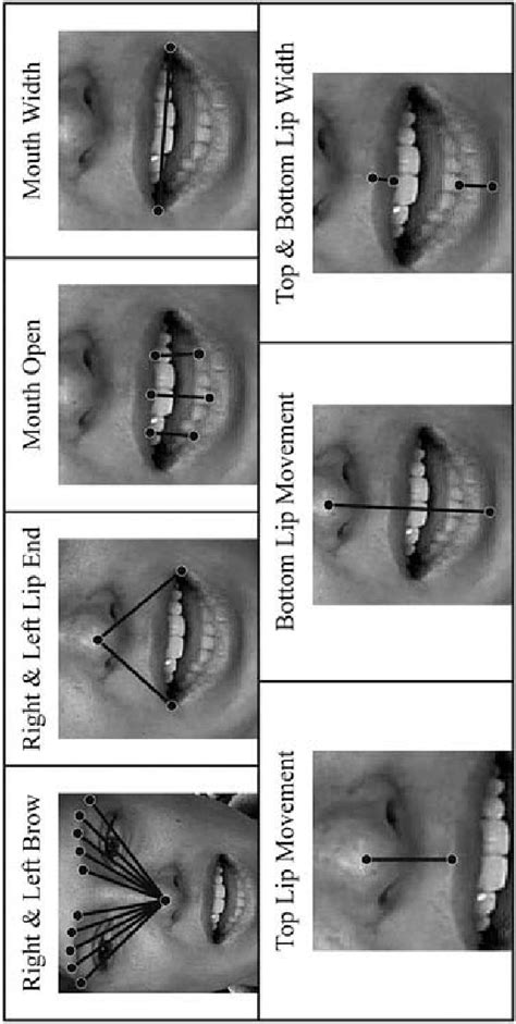 Face Measures Using Fiducial Points Download Scientific Diagram