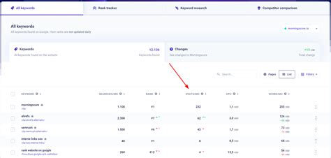Seo Traffic Checker How Many Views Does Your Site Get